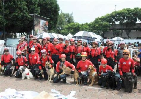 Ayudamos De Manera Voluntaria Los Topos Tlatelolco Viajan A Salvar