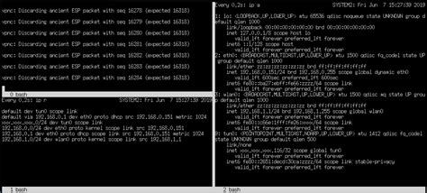 Solved Vpnc Route Gateway Disappears Networking Server And Protection Arch Linux Forums