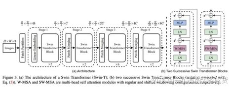 使用SwinTransformer进行图片分类 知乎