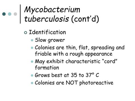 Ppt Chapter 22 Mycobacterium Tuberculosis And Other Nontuberculous Mycobacteria Powerpoint