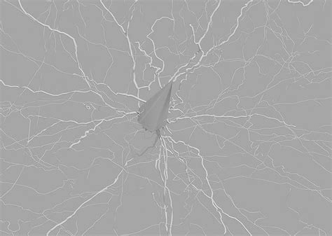 3d Neuron Model 05 3d Model Animated Cgtrader