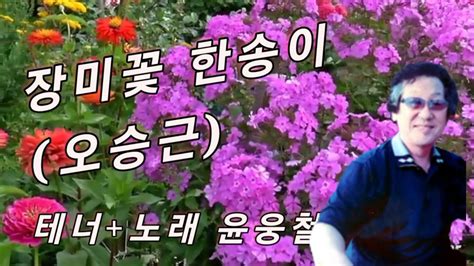 장미꽃 한송이 오승근 테너 노래 윤웅철 Youtube