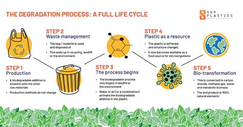 Sustainable Waste Management The Role Of Biodegradability Testing