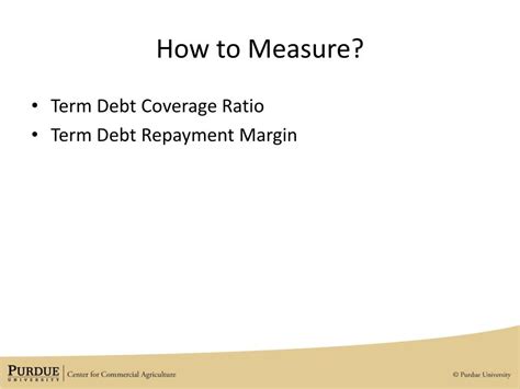 Ppt Debt Service Analysis Can I Repay Powerpoint Presentation Free