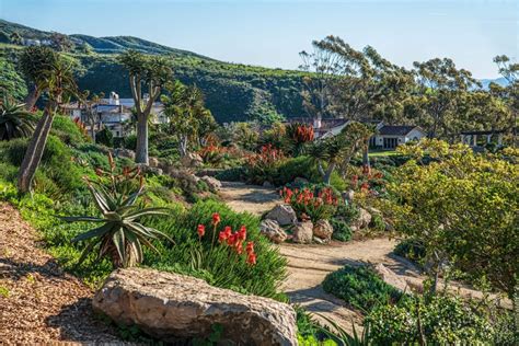 Hours Admission And Parking Ventura Botanical Gardens