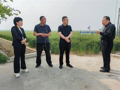 商水：沈宗祥到高标准农田查看小麦赤霉病防治工作 中华龙都网 周口报业传媒集团主办 河南省重点新闻网站