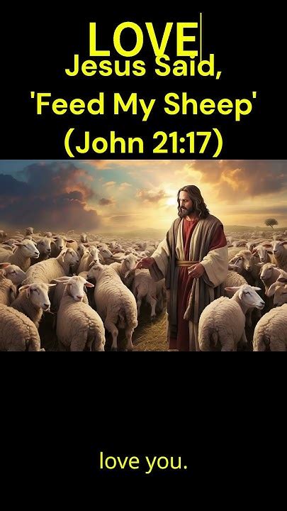 Jesus Said Feed My Sheep John 2117jesusfaithbibletrust