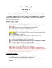 AP Study Guide For Lab Practical On Digestive Urinary Reproductive Human Development New