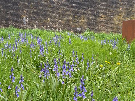 Webinar Maai Mei Niet Museum De Bastei