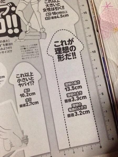 【画像】 女がhで欲しがる理想のﾁﾝﾎﾟのｻｲｽﾞがこちら きゃっつあいニュース
