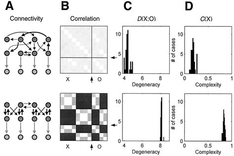 Measures Of Degeneracy And Redundancy In Biological Networks Pnas