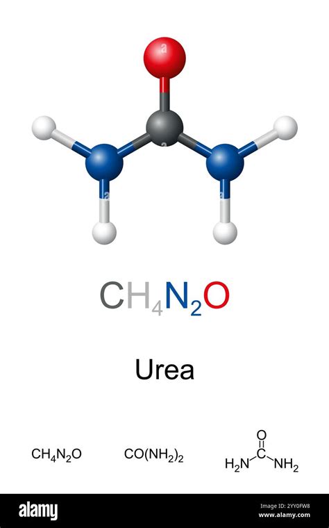 Molecular Compound Model