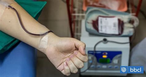 ¿cuál Es Mi Tipo De Sangre En Chile Coop La Lonja