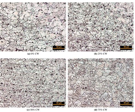 Microstructure Of Cartridge Brass Annealed For 60 Min At