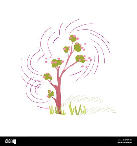 Seasons Trees In Different Periods Vector Illustration Concept Of Change Of Seasons Spring