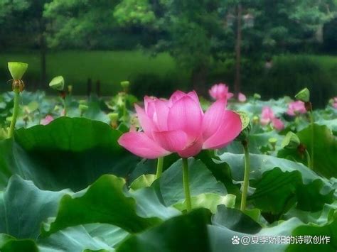 阎秀明的诗歌创作山腰薄雾驰意念七岩洞中坐身形 知乎