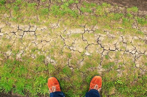 Landscaping Ideas Where Grass Wont Grow Rmps