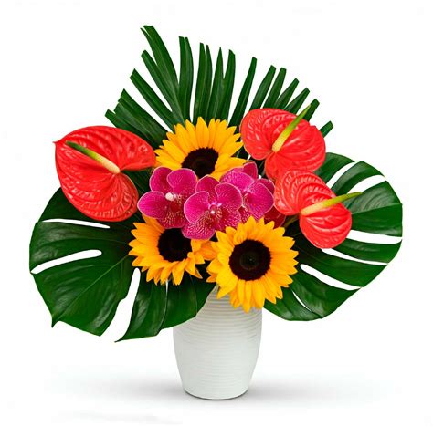 Arreglo De Flores Exóticas Flores Cerca De Mí