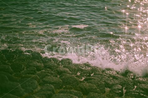 바다 파도 반사 빛 여름 사진이미지일러스트캘리그라피 Sam5작가