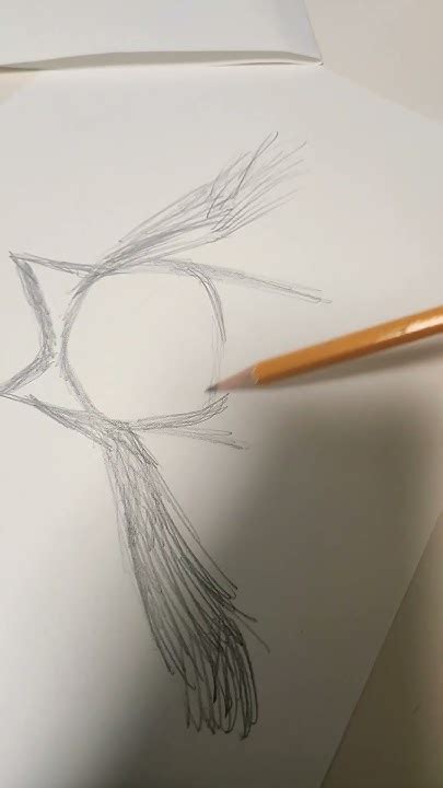 새 쉽게 그리는법 Youtube