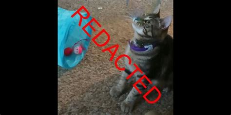 Github Ponderforgelustblock An Onnx Based Nsfw Image Proxy