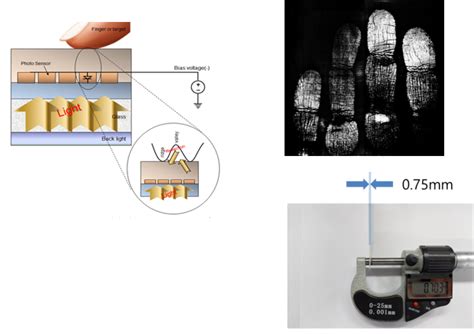 Capacitive Fingerprint Sensor