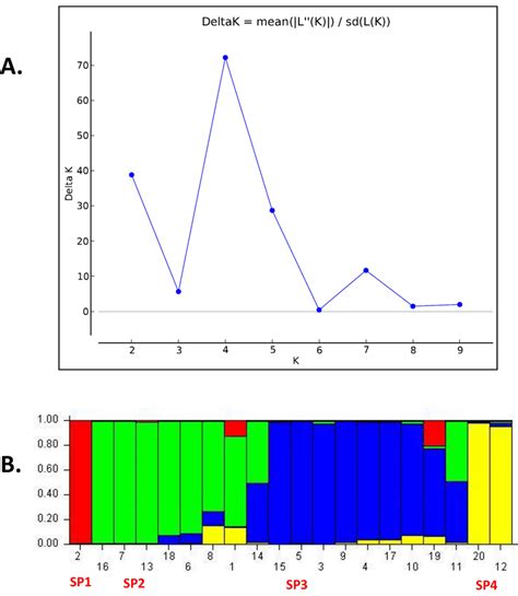 Population Structure Analysis Depicting The Genetic Relationships Among Download Scientific