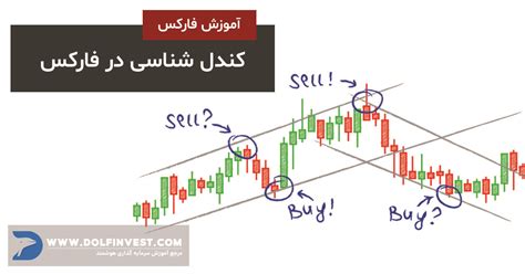 آموزش کندل شناسی در فارکس دلفین وست