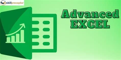 Excel Advanced Formatting Techniques 365 2019