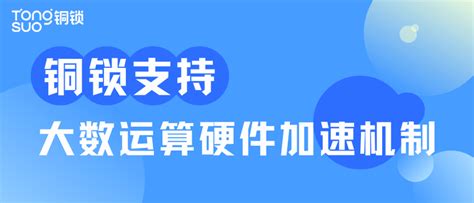 算法 铜锁支持大数运算硬件加速机制 个人文章 segmentfault 思否
