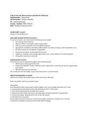 Physics Lab Report Template Title Of The Lab Electric Forces And Electric Fields Lab