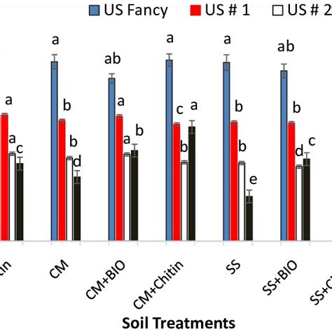 Fruit Morphology Of Bell Pepper Capsicum Annuum Variety Intruder Left Download Scientific