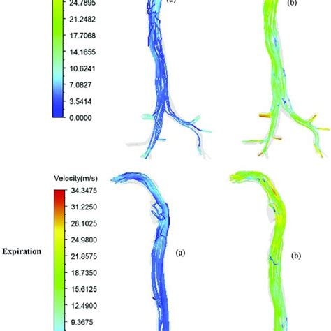 Airflow Velocity Streamlines Response To A Walking B Running Download Scientific Diagram