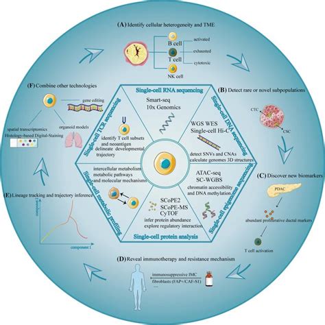 Different Single Cell Technologies And Their Applications In Medicine Download Scientific