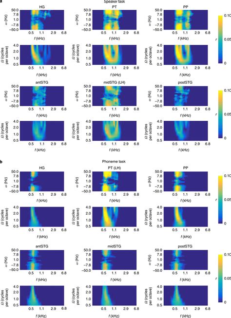 Marginal Modulation Profiles Of The Mtfs During The Speaker And Phoneme