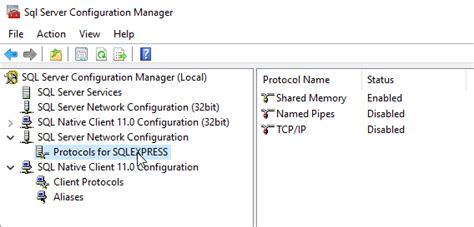 Deltek Cobra Integration With Primavera P6 How To Guide