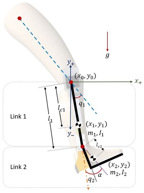 Design Of A Lower Limb Exoskeleton Robust Control Simulation And Experimental Results