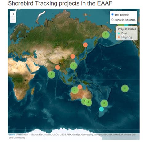 Establishment And Coordination Of The Eaaf Shorebird Migration Tracking