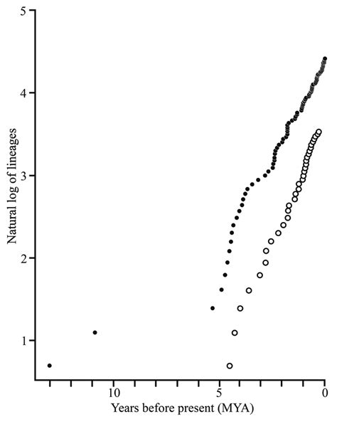 Lineage Through Time Ltt Plot Resulting From The Analysis Of The Download Scientific Diagram
