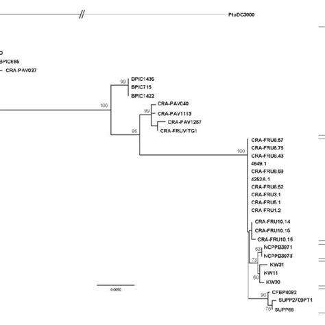 Dendrogram Of Relationships Using Concatenated Data And The