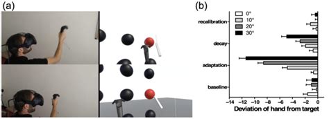 A Principles Of Virtual Prismatic Adaptation Participants Are Download Scientific Diagram