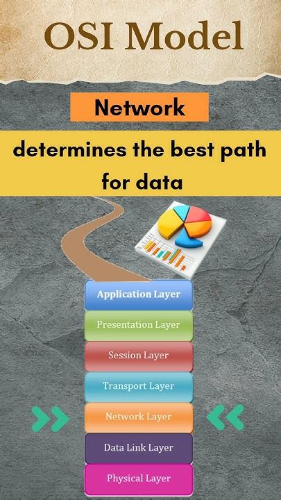 Layers Of Osi Model Explained Osimodel Computernetworking Computernetwork Youtube