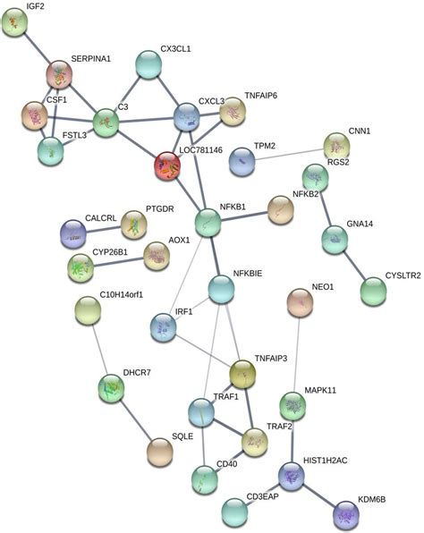 Predicted Protein Interaction Networks From The Degs Following Spif Download Scientific Diagram
