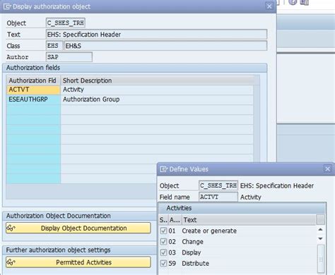 Solved Cg02 Display Only Authorization Settings Sap Community