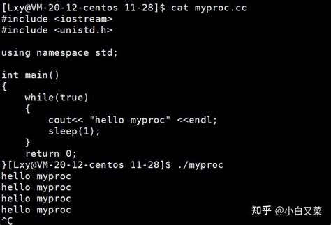 Linux Linux信号概述 信号的产生 知乎