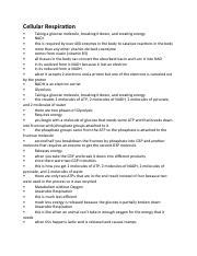 Cellular Respiration Pdf Cellular Respira On Taking A Glucose Molecule Breaking It Down And