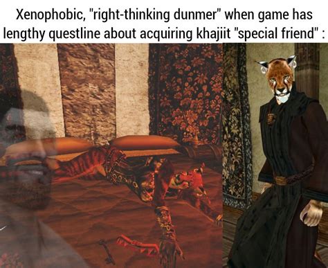 Canonically Nerevarine Is Into Khajiit For Ahnassi Is Only Romanceable