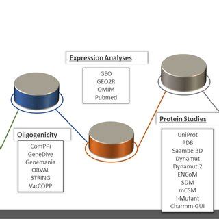 Bioinformatics Workflow And Compared Databases Download Scientific Diagram