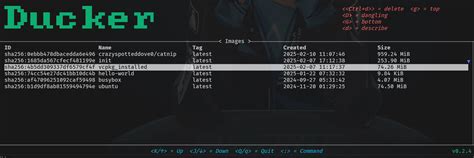 Docker 使用方法 基础篇